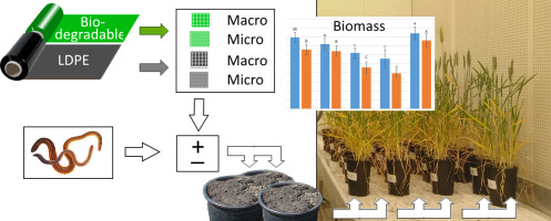Macro- and micro- plastics in soil-plant system: Effects of plastic ...