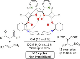 Recyclable C2-symmetric tertiary amine-squaramide organocatalysts: Design and application to ...