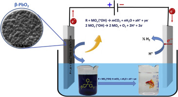 A comprehensive study on the electrocatalytic degradation ...