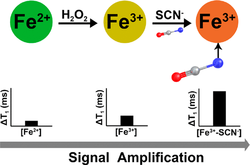 基于配位化学的Fe-T 1 传感器，用于灵敏，多功能的生物分析,Analytical Chemistry - X-MOL