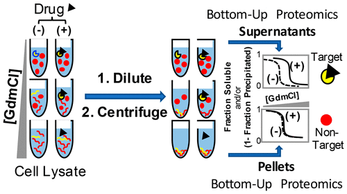 Chemical Denaturation and Protein Precipitation Approach for Discovery ...