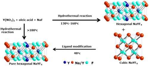 Catalyzing Cubic-to-Hexagonal Phase Transition in NaYF4 via Ligand ...