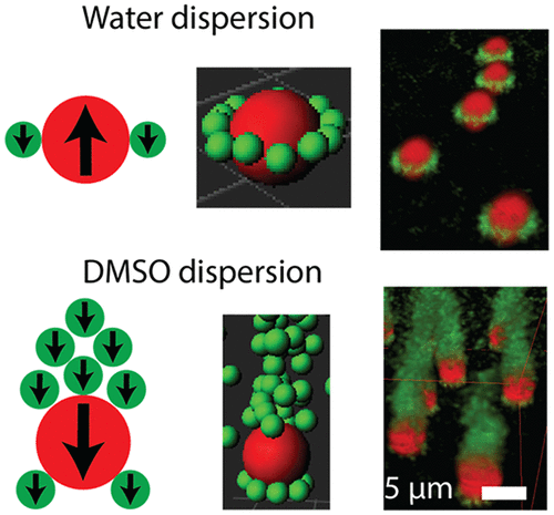 Electric Field Assembly of Colloidal Superstructures,The Journal of ...