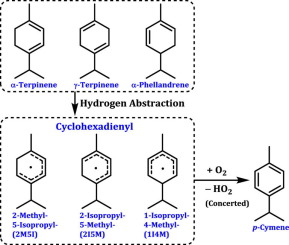 Mechanism and Fate of Cyclohexadienyl Radicals with O2in the Atmosphere ...