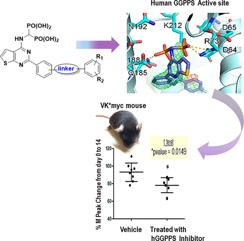 Unraveling the Prenylation–Cancer Paradox in Multiple Myeloma with ...