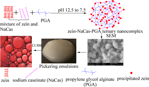 Properties of Ternary Biopolymer Nanocomplexes of Zein, Sodium ...