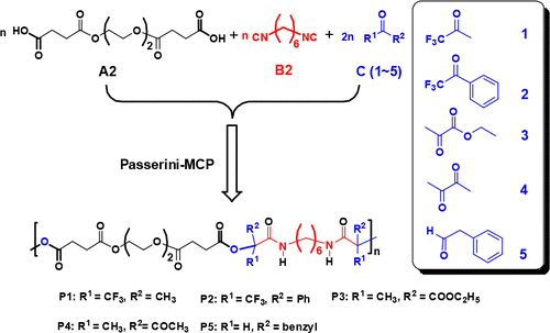 Functional Poly(ester–amide)s with Tertiary Ester Linkages via the ...
