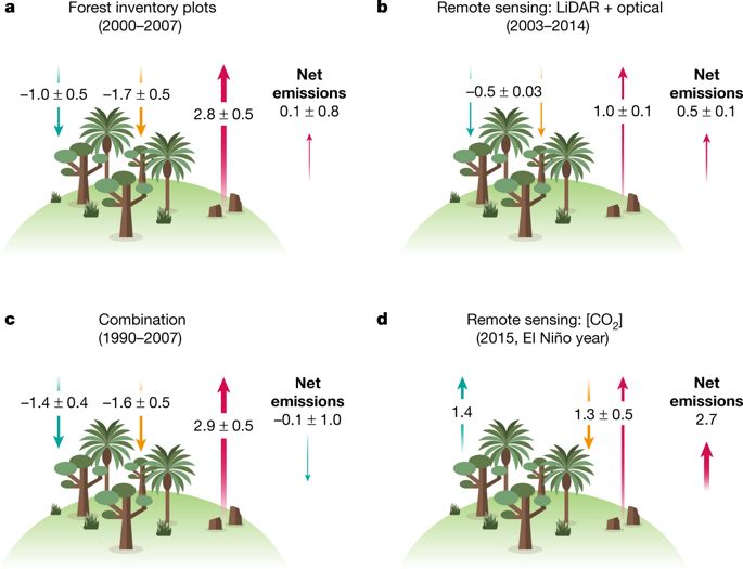 The tropical forest carbon cycle and climate change,Nature - X-MOL