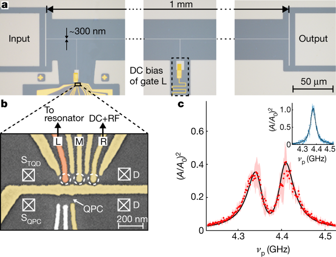 Coherent spin–photon coupling using a resonant exchange qubit,Nature - X-MOL