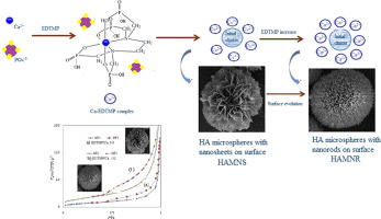 EDTMP存在下水热合成羟基磷灰石微球表面的形态演变,Ceramics International - X-MOL