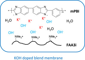 用于碱性水电解的聚苯并咪唑和阴离子交换离聚物 (FAA3) 的混合膜：提高碱性稳定性和导电性,Journal of Membrane ...