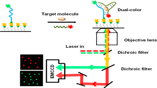 Single Molecule Fluorescent Colocalization of Split Aptamers for Ultrasensitive Detection of ...