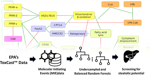 QSAR Modeling of ToxCast Assays Relevant to the Molecular Initiating ...