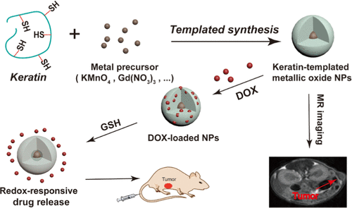 Keratin-Templated Synthesis of Metallic Oxide Nanoparticles as MRI ...