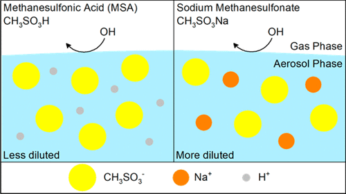 Chemical Transformation of Methanesulfonic Acid and Sodium ...