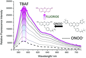 ‘AND’-based fluorescence scaffold for the detection of ROS/RNS and a ...
