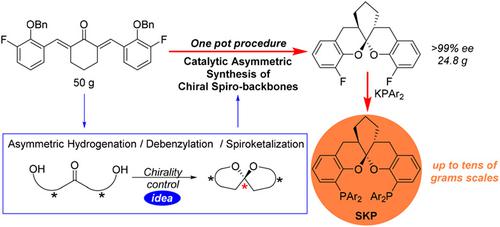 Making Spiroketal‐based Diphosphine (SKP) Ligands via a Catalytic ...