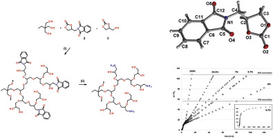 通过环状碳酸酯单体共聚获得的胺官能化聚甘油,Polymer - X-MOL