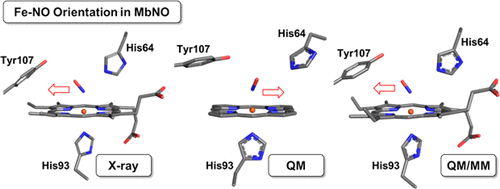 Nitrosyl Myoglobins and Their Nitrite Precursors: Crystal Structural ...