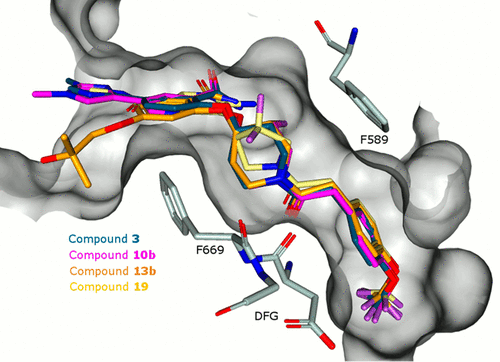 Discovery of Potent, Selective, and Peripherally Restricted Pan-Trk ...