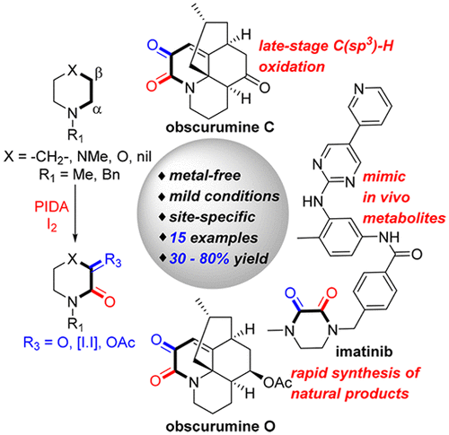 PIDA/I2-Mediated α- and β-C(sp3)–H Bond Dual Functionalization of Tertiary Amines,The Journal of ...