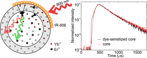 In-Depth Analysis of Excitation Dynamics in Dye-Sensitized Upconversion ...