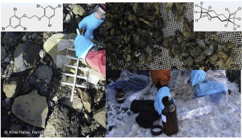 New brominated flame retardants and dechlorane plus in the Arctic ...