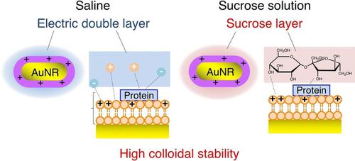 Colloidal Stability of Lipid/Protein‐Coated Nanomaterials in Salt and ...