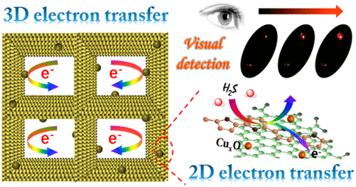 Self-Referenced Smartphone Imaging for Visual Screening of H2S Using CuxO-Polypyrrole Conductive ...