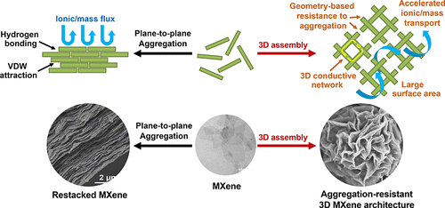 Aggregation-Resistant 3D MXene-Based Architecture as Efficient Bifunctional Electrocatalyst for ...