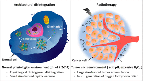 A Bioenvironment-Responsive Versatile Nanoplatform Enabling Rapid ...