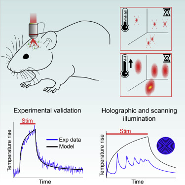 Temperature Rise under Two-Photon Optogenetic Brain Stimulation.,Cell ...
