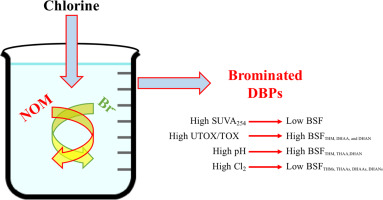 The interplay between natural organic matter and bromide on bromine ...