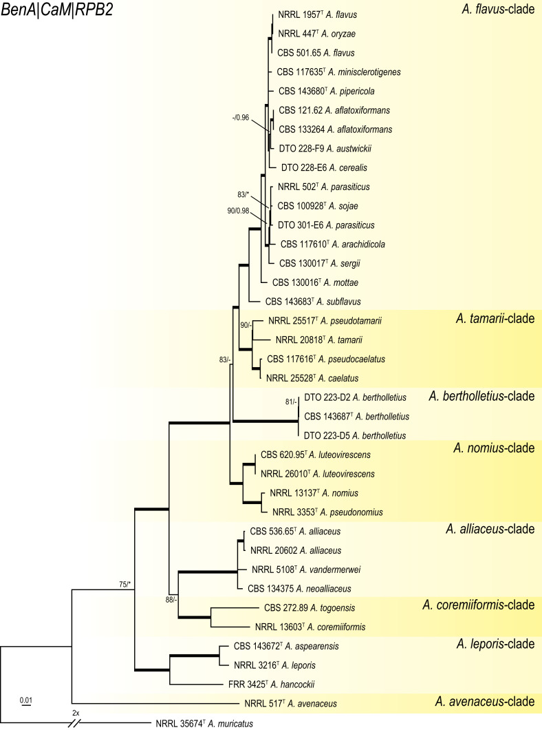 Taxonomy of Aspergillus section Flavi and their production of ...