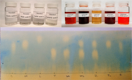 Analysis and Identification of Major Organic Acids in Wine and Fruit ...