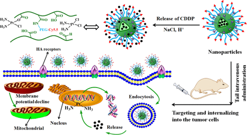 Tumoral Acidic pH-Responsive cis-Diaminodichloroplatinum-Incorporated Cy5.5-PEG-g-A-HA ...