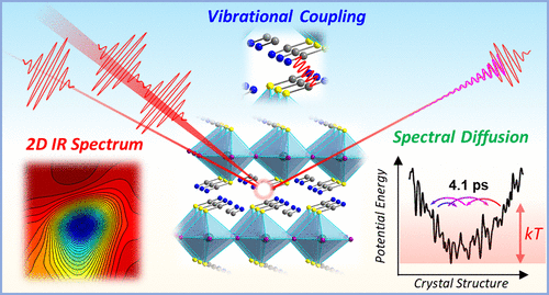 Dynamically Disordered Lattice in a Layered Pb-I-SCN Perovskite Thin Film Probed by 2D IR ...