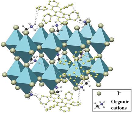 Ion‐Migration Inhibition by the Cation–π Interaction in Perovskite ...