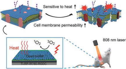 Rapid Biofilm Eradication on Bone Implants Using Red Phosphorus and ...
