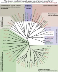 Genomics, cys-loop ligand-gated ion channels and new targets for the ...