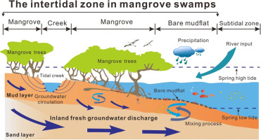 Coastal water quality assessment and groundwater transport in a ...