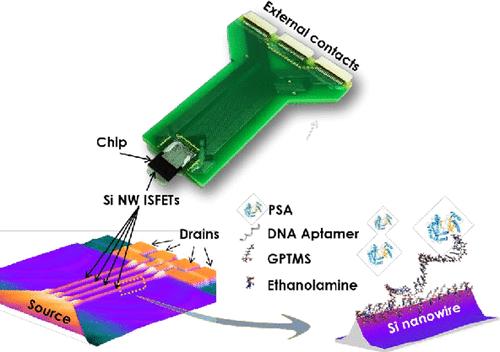 Top-Down Fabricated Silicon Nanowire Arrays for Field-Effect Detection of Prostate-Specific ...