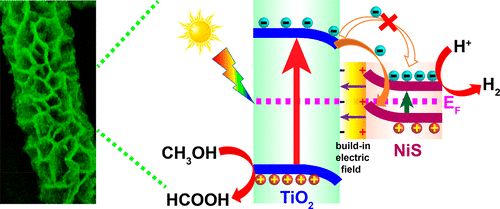Direct Z-Scheme TiO2/NiS Core–Shell Hybrid Nanofibers with Enhanced Photocatalytic H2-Production ...
