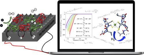 Going beyond structure: Nickel-substituted rubredoxin is a mechanistic ...