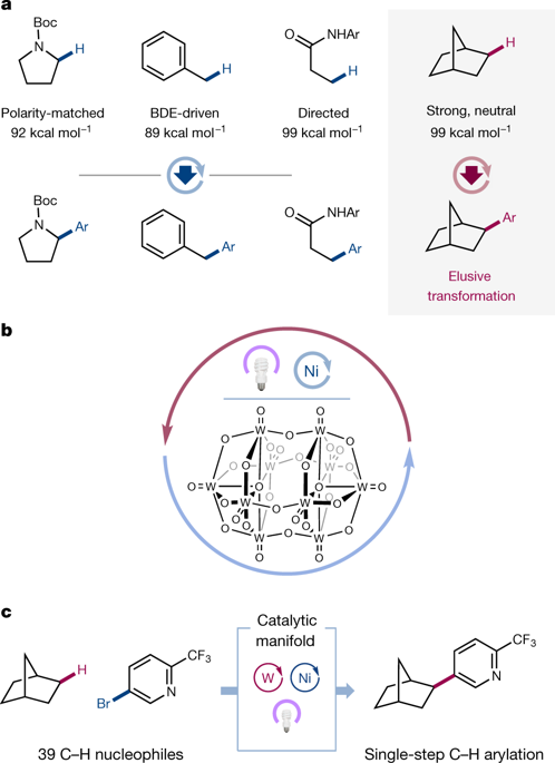 Direct arylation of strong aliphatic C–H bonds,Nature - X-MOL