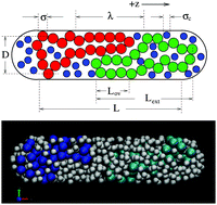 Segregation of polymers under cylindrical confinement: effects of ...