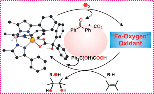 Bioinspired Olefin cis-Dihydroxylation and Aliphatic C–H Bond ...