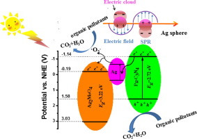 Ag SPR-promoted 2D porous g-C 3 N 4 /Ag 2 MoO 4 composites for enhanced ...