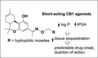 Oximes short-acting CB1 receptor agonists,Bioorganic & Medicinal ...