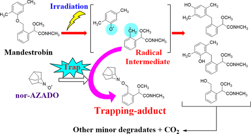 Photodegradation of Strobilurin Fungicide Mandestrobin in Water,Journal ...
